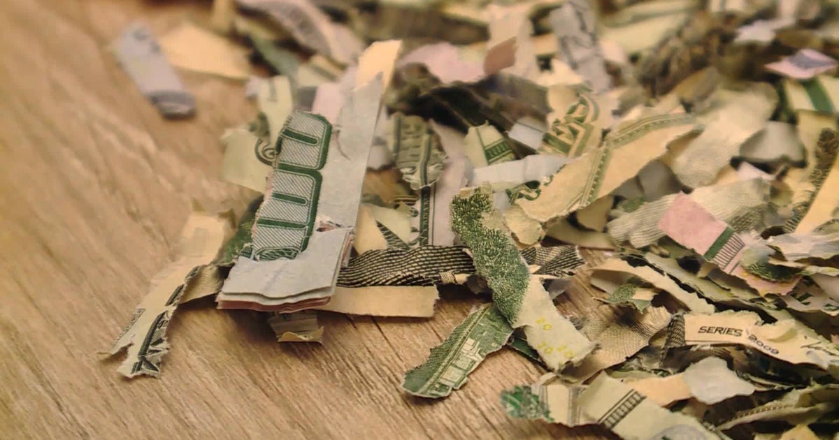 Oops! Toddler Puts $1,060 In Cash Through Shredder - CBS Miami