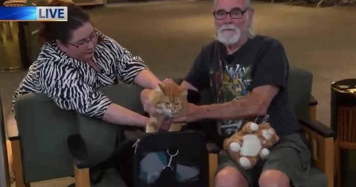 Bobby The Cat, Missing For Over A Year, Found 900 Miles Away - CBS Detroit