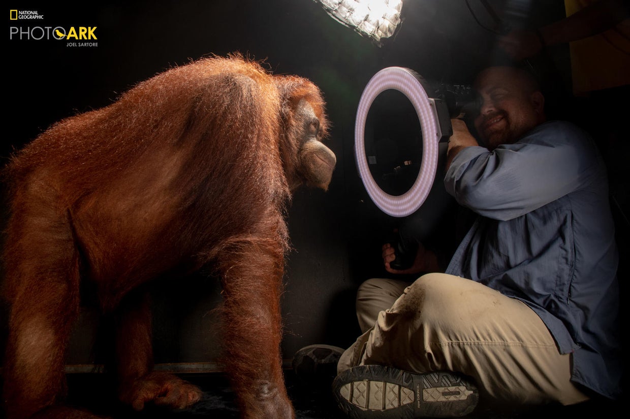 Joel Sartore's Photo Ark: Some of the National Geographic photographer ...