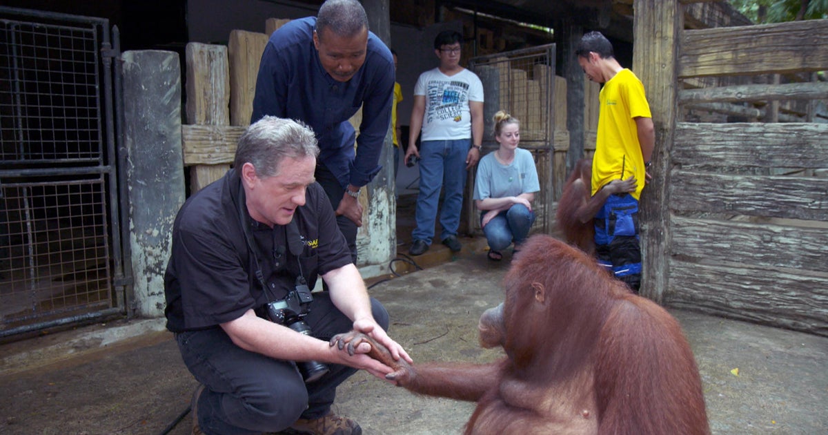 Joel Sartore's Photo Ark: National Geographic photographer saving ...