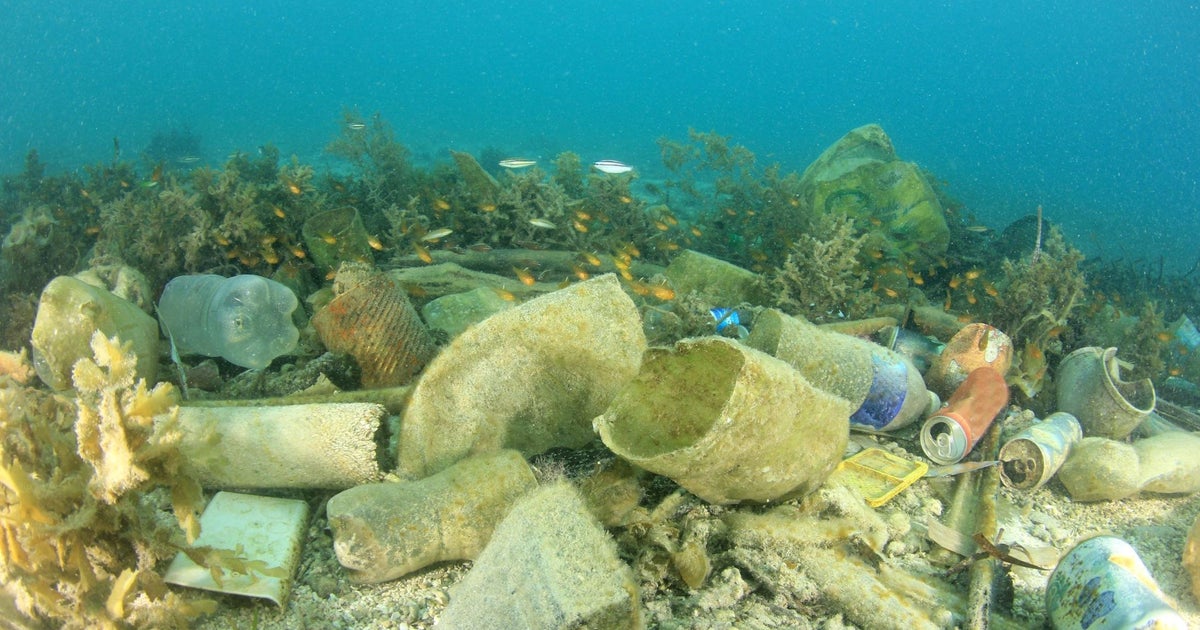 Report: Microplastics Found In Human Stools - CBS Detroit