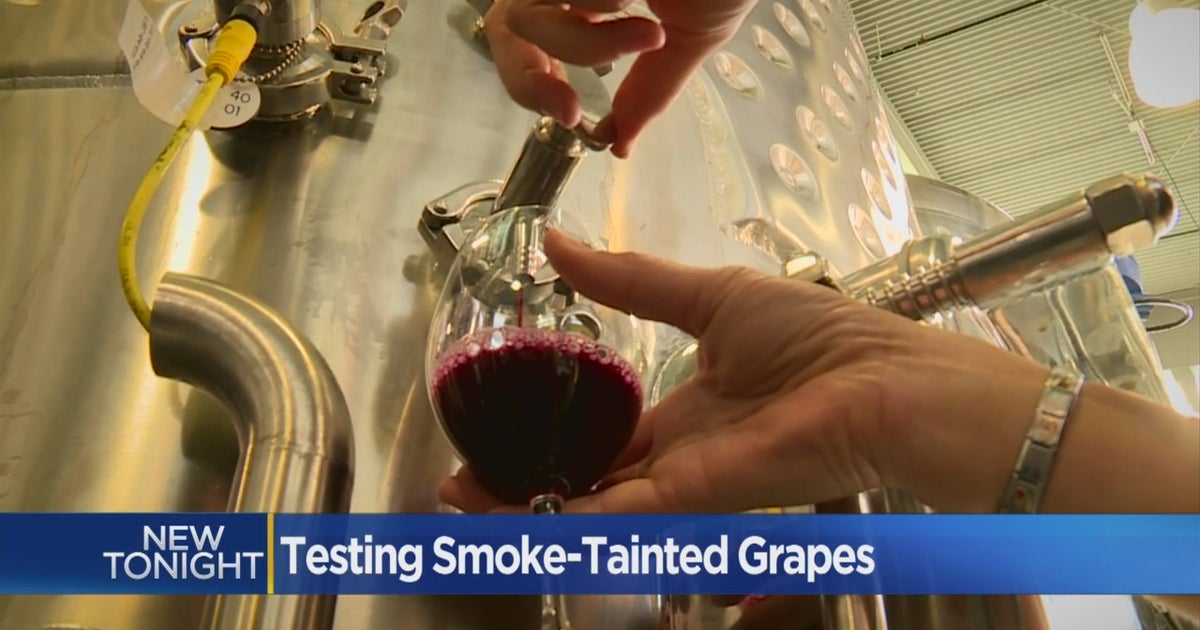 UC Davis Wine Researcher On The Hunt For Smoke Taint - CBS Sacramento