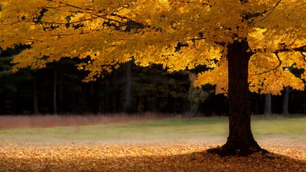 New England fall colors: A tour with photographer Jeff Folger, a.k.a ...
