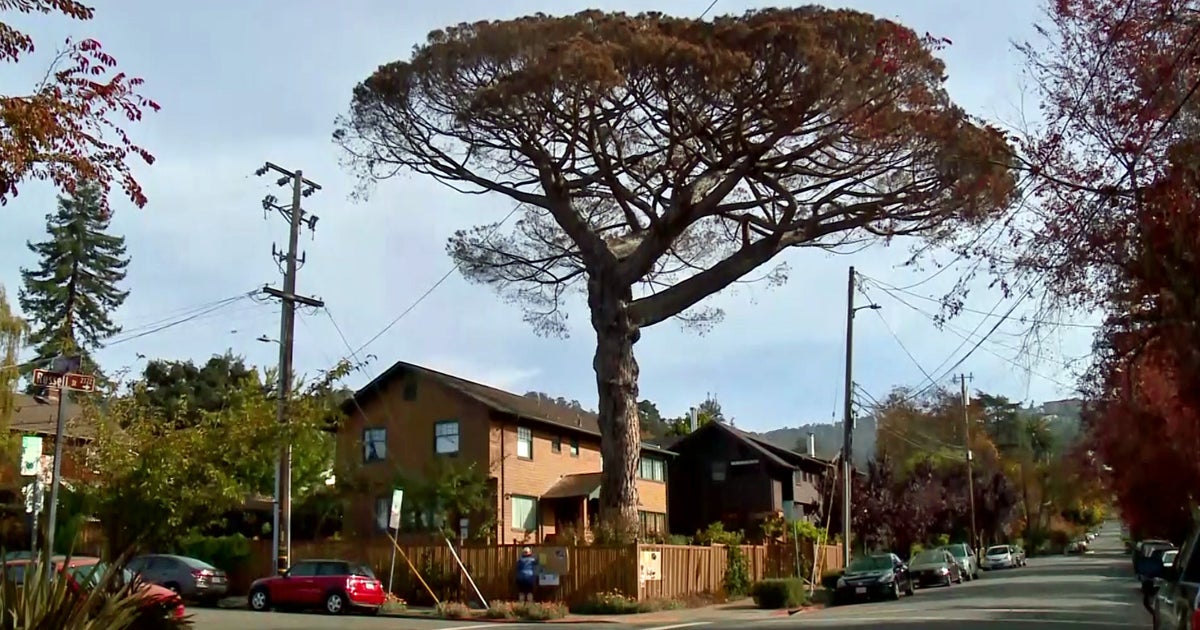 Berkeley Neighborhood Bids Fond Farewell (With Grumbles) to Landmark ...