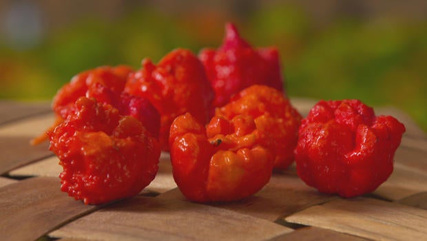 The craving for hot sauces is heating up: "Hot Ones" and the search for ...