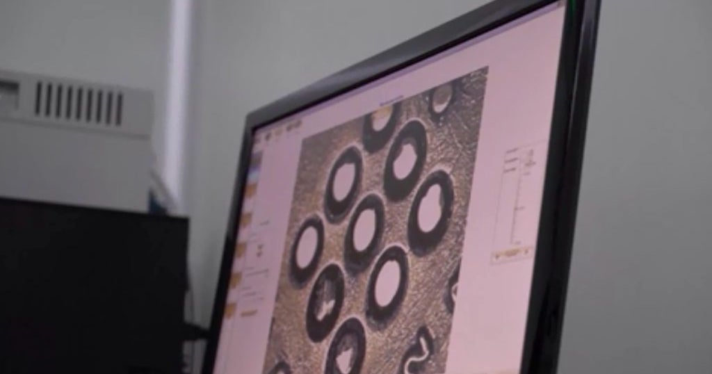 Chinese Scientist Claims He's Created First Genetically Modified ...