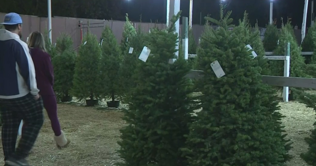 Artificial Or Authentic? Million-Dollar Campaign Urges Americans To Buy ...