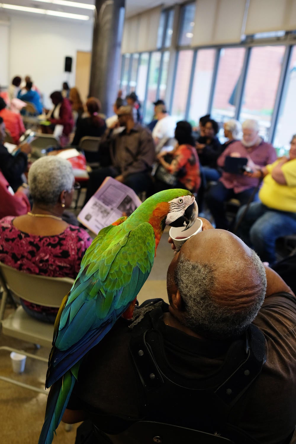 Young photojournalists' work from the Bronx Documentary Center