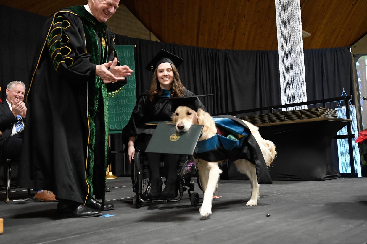 Service dog earns honorary degree: Graduate student Brittany Hawley's ...