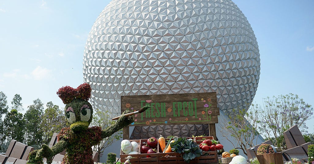 Woman Turns To Facebook For Help After Losing Boyfriend At Disney's ...