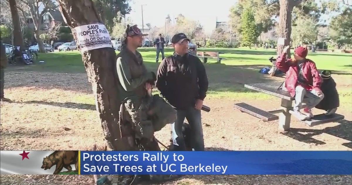 Protesters Suspicious Of UC Berkeley Downing Trees At People's Park ...