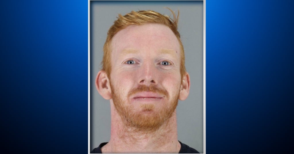 Well-Known Australian Tagger Pleads Guilty To Vandalizing BART Car ...