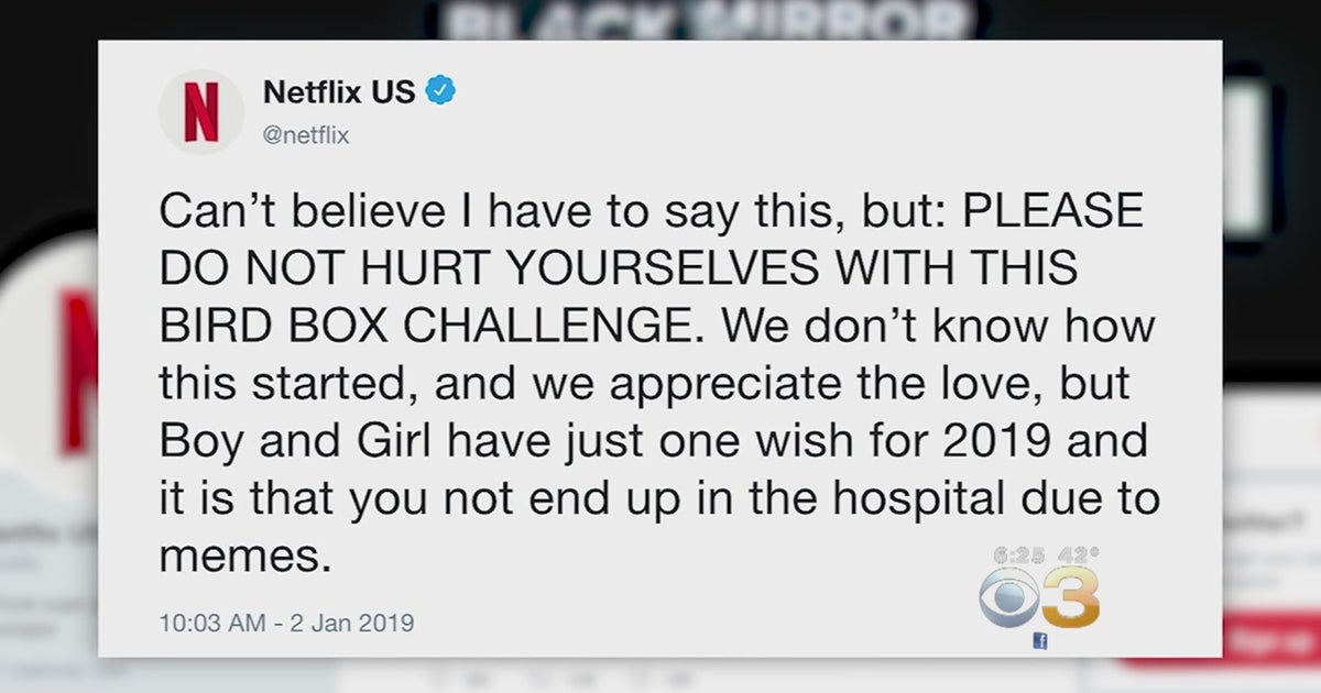 'Do Not Hurt Yourselves:' Netflix Issues Warning Following Viral 'Bird ...