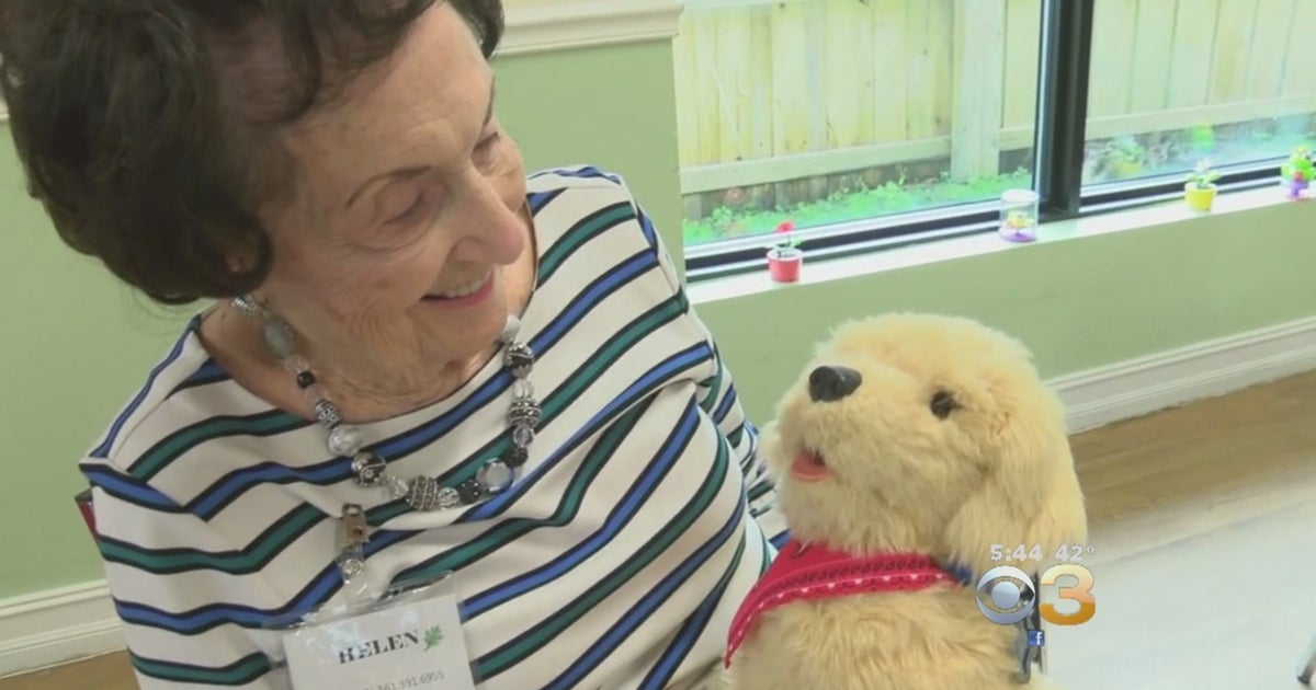 Robotic Pets Serving As Friends, Therapy Aids To Growing Elderly ...