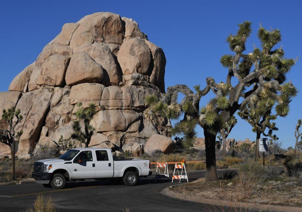 Joshua Tree National Park temporarily closing to fix damage amid ...