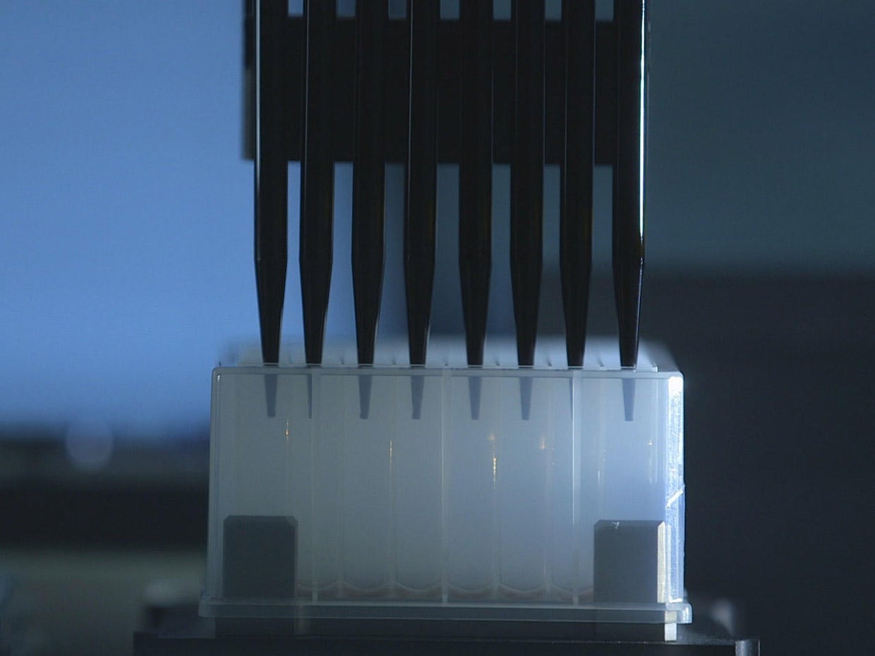 Chino Hills massacre: Evidence photos in the Kevin Cooper case