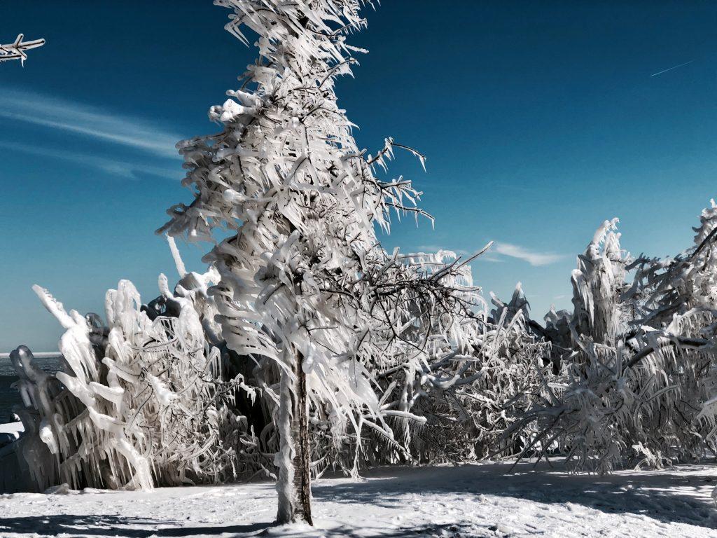 Polar vortex 2019: Chilling photos that'll freeze you solid from the ...