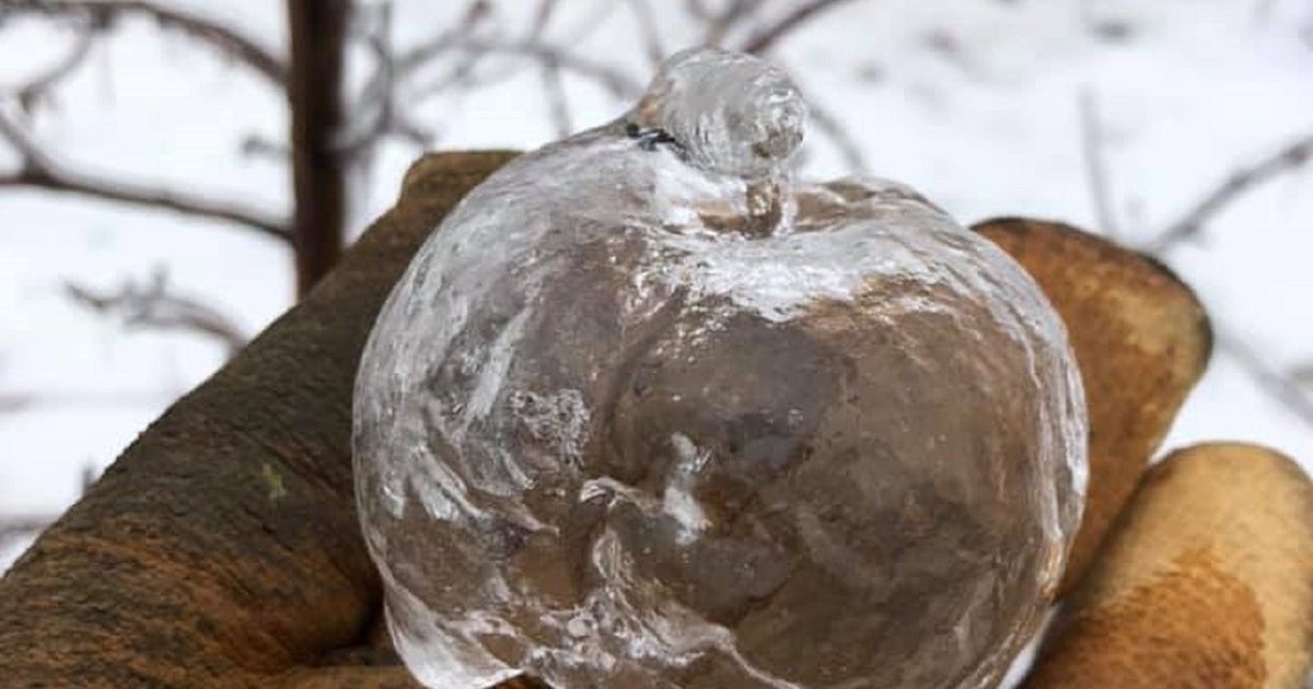 'Ghost Apples' Spotted In Michigan - CBS Detroit