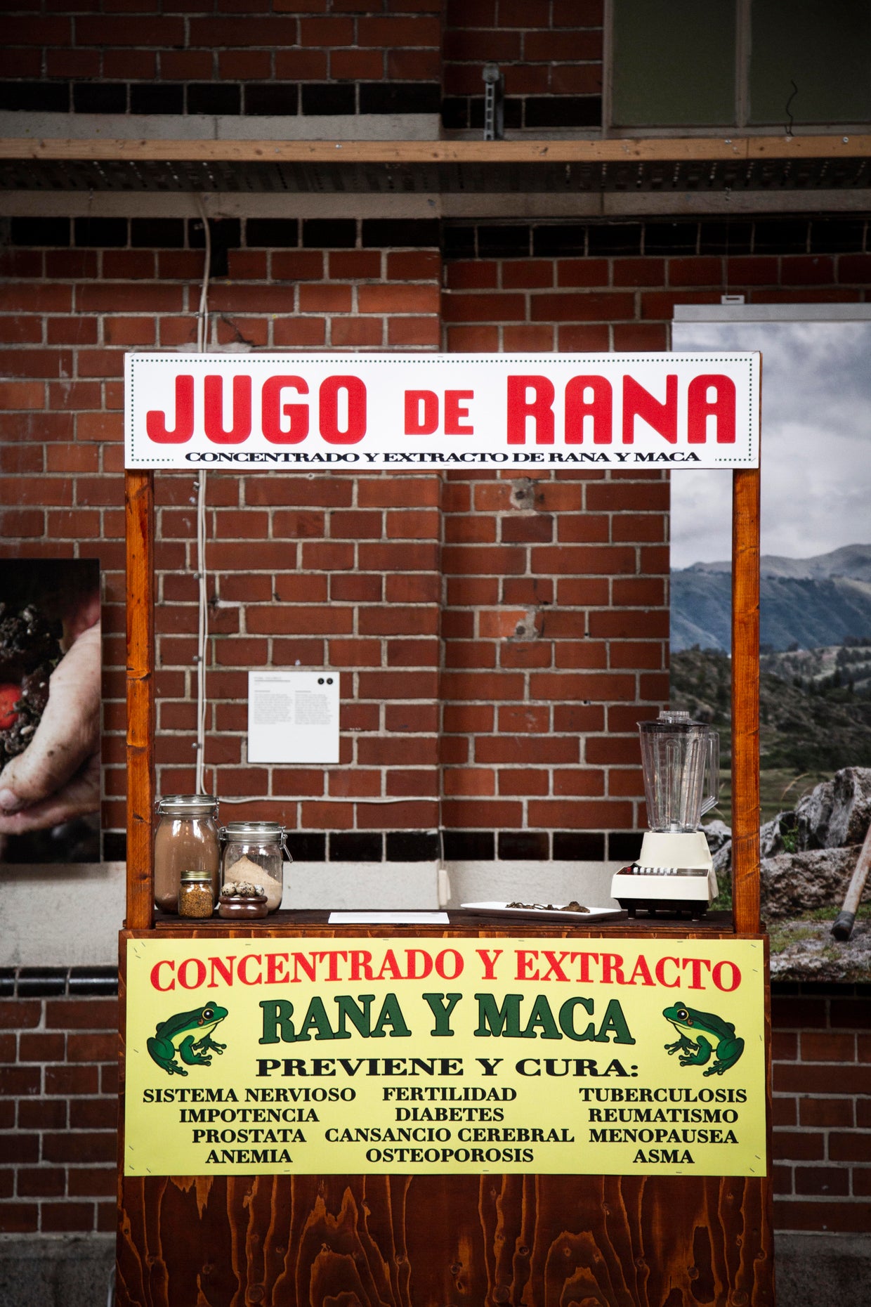 Disgusting Food Museum: Photos of the most disgusting food in the world ...