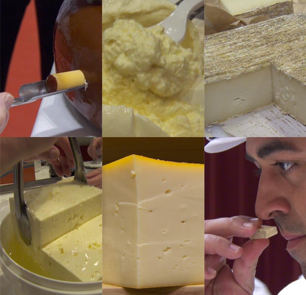 The big cheeses come out at the World Championship Cheese Contest in ...