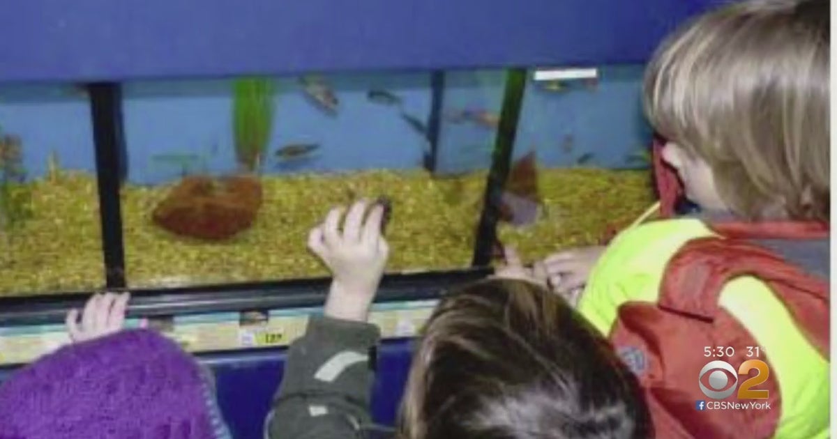 Dozens Of Parents Sent Scrambling After Pre-K Program Suddenly Shuts ...