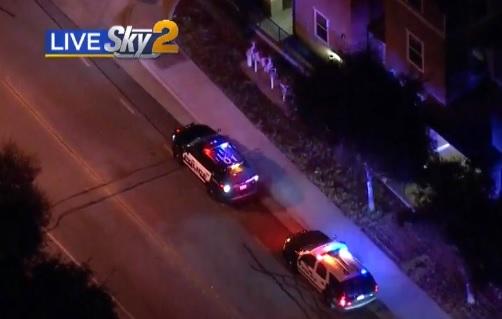 UC Irvine student, female, stabbed while walking dog on campus; suspect ...