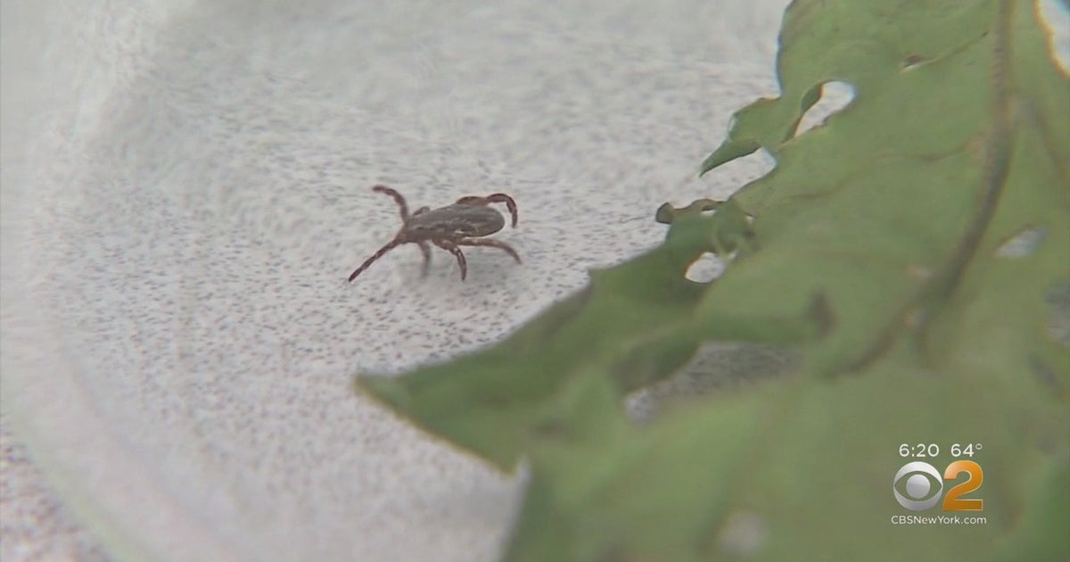 Mild Winter Coupled With Rising Temps Could Send New Jersey Tick ...