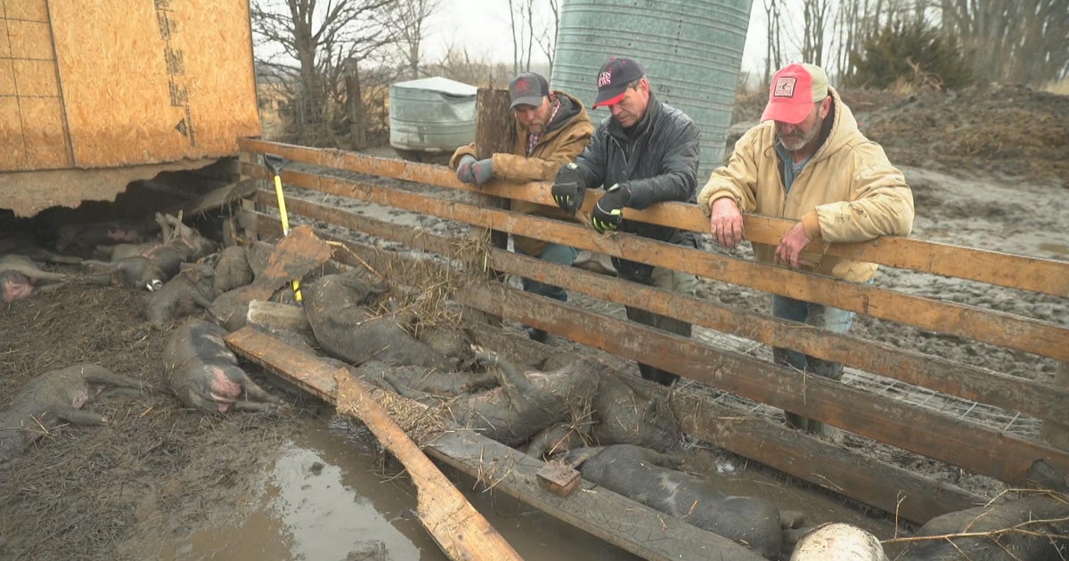 Midwest flooding: Farmers hit hard by deadly floodwaters react to ...