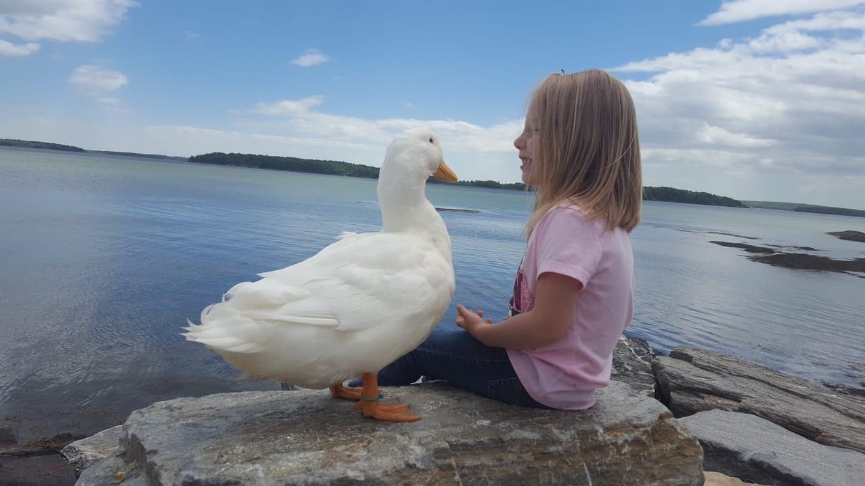 Kylie Brown and Snowflake: A girl's unbreakable bond with her pet duck ...