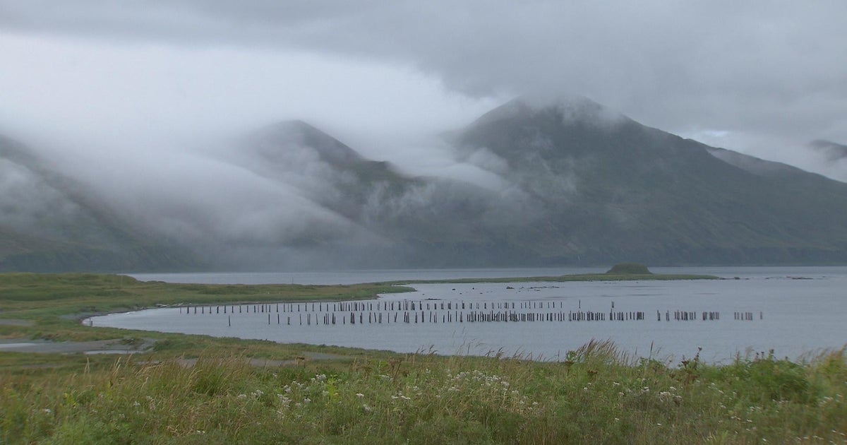 How a Japanese medic and American soldier became linked by World War II ...