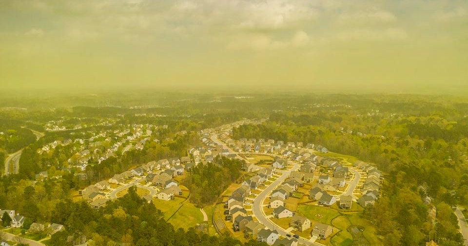 Pollen in North Carolina: Pictures show pollen haze over North Carolina ...