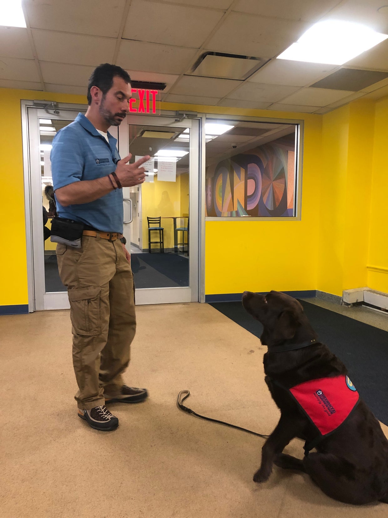 Meet Molly, The Bilingual Dog