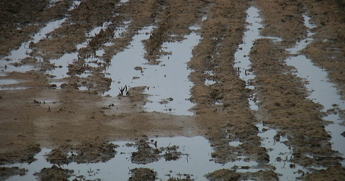 Soggy Fields Leave Midwestern Farmers With Few Good Answers - CBS Minnesota