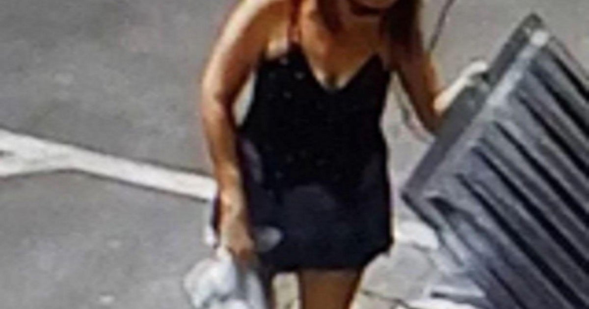 Surveillance Video Catches A Woman Tossing Seven Newborn Puppies Into A