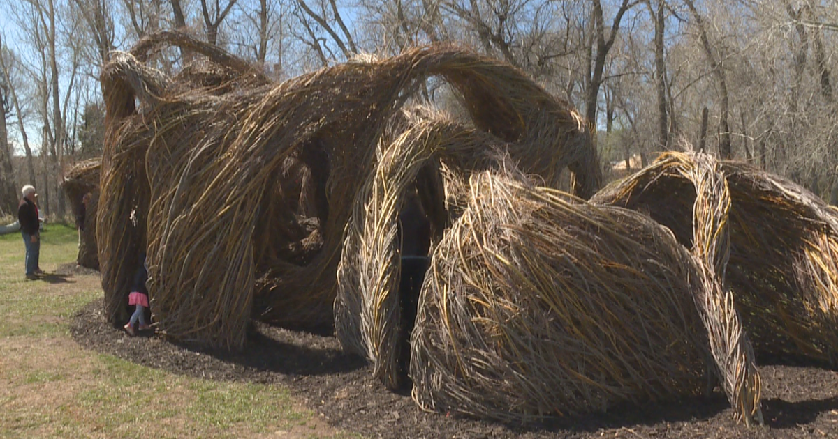 Artist Creates 300th 'Stickwork' Piece At Denver Botanic Gardens - CBS ...