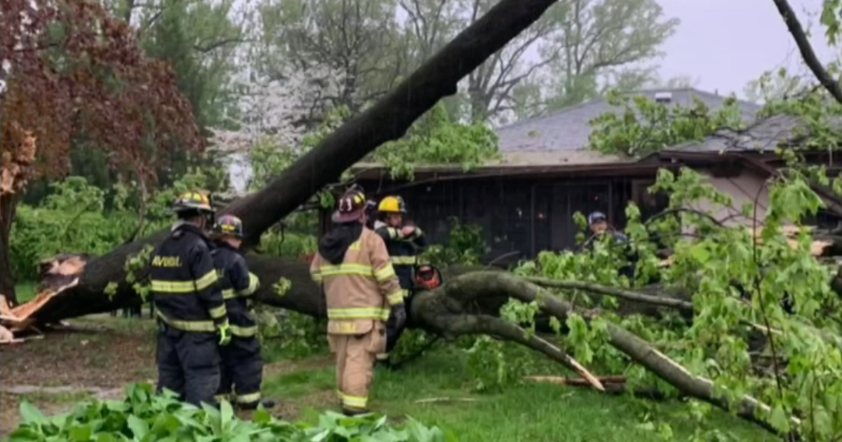 94-Year-Old Woman, Caretaker Trapped In Home After Tree Hits Chester ...