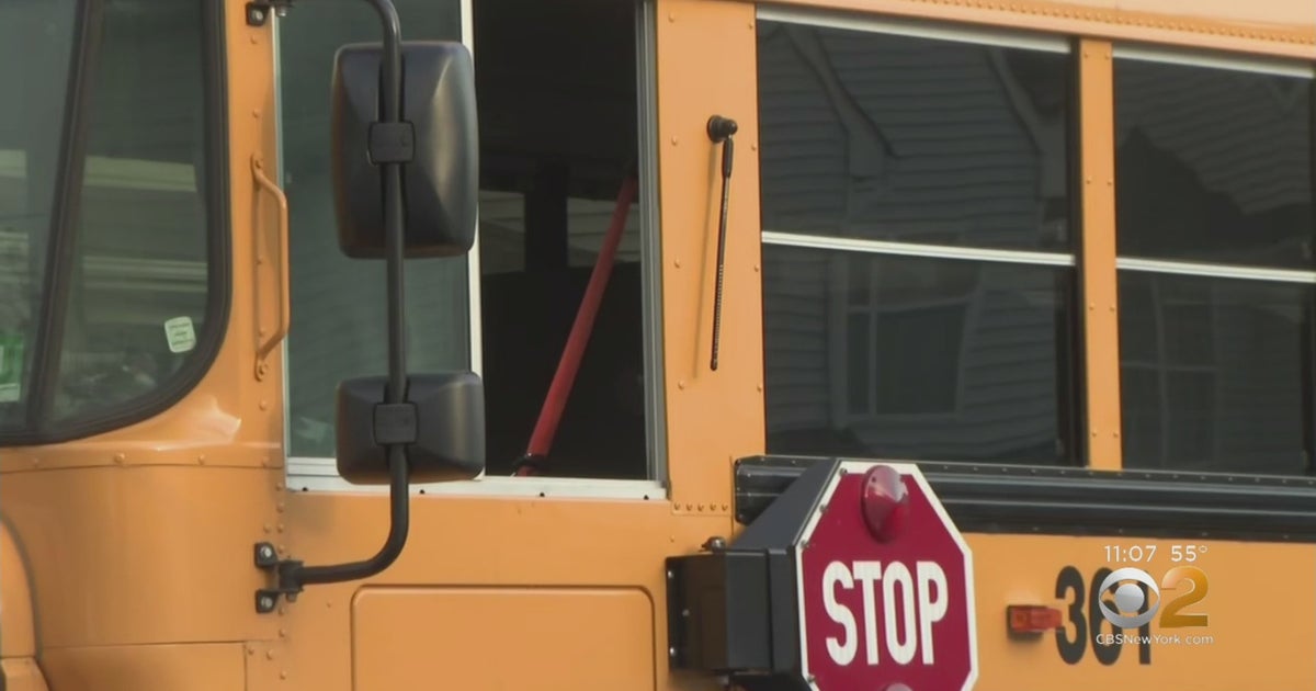 School Bus Driver, Students Caught In Violent Road Rage Incident In New ...