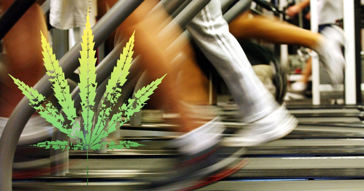 Smoking Weed Can Motivate You To Exercise, Colorado Study Finds - CBS ...