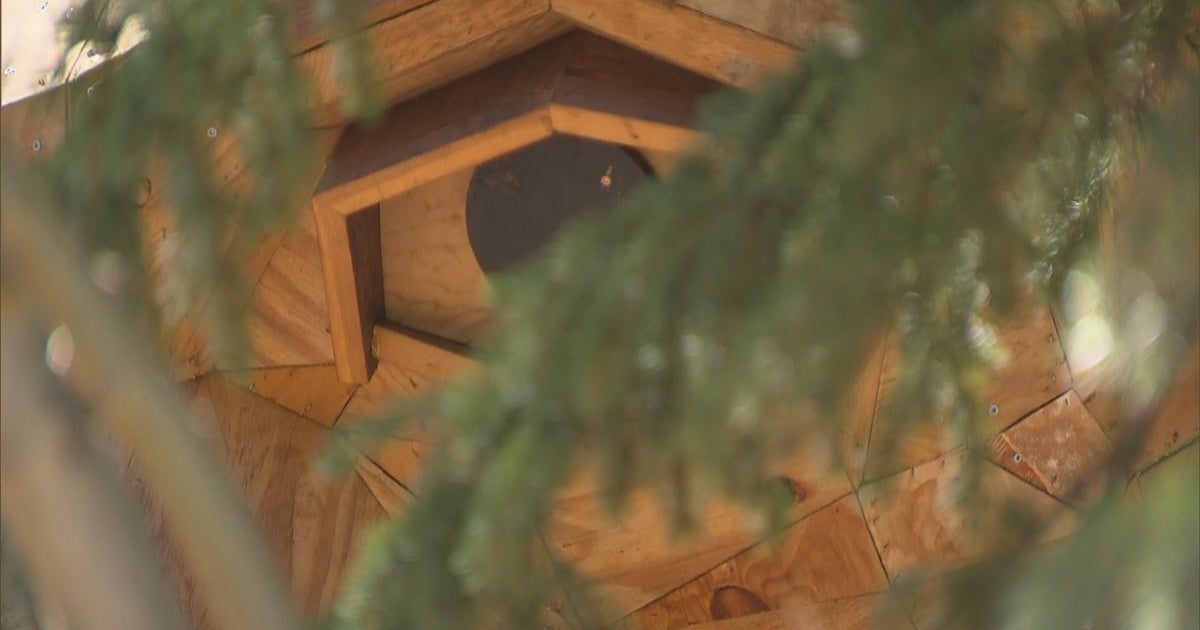 Isak Heartstone Once Again Takes Shape- This Time In The Forest Outside ...