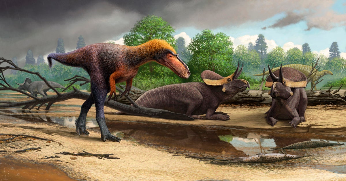 Dinosaur fossils: Scientists identify a tiny, duck-billed cousin to the ...