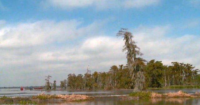 Louisiana is facing serious environment problems due to climate change ...