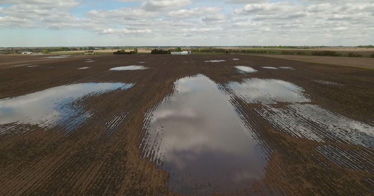 Historic Flooding In Illinois Prompts Agriculture Disaster Declaration ...