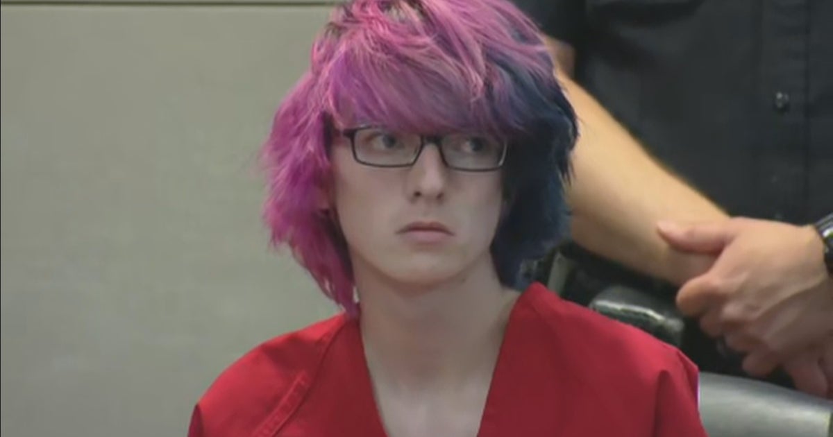 School Shooting Suspect Devon Erickson Appears In Court, Facing More ...