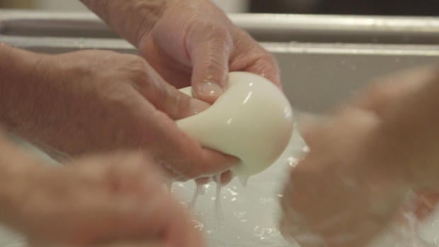 Creating an irresistible mozzarella: At Tenuta Vannulo in southern ...