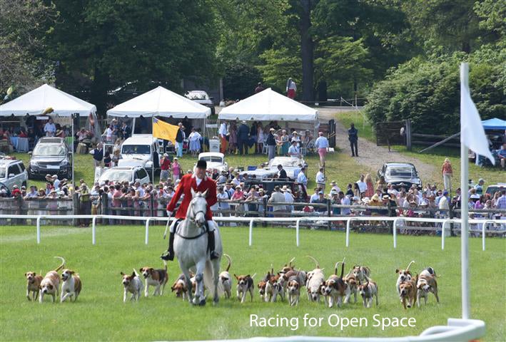 89th Radnor Hunt Races