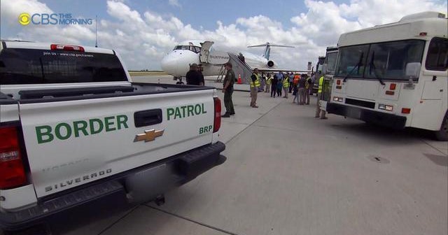 Close look at Border Patrol planes flying migrants from the southern ...