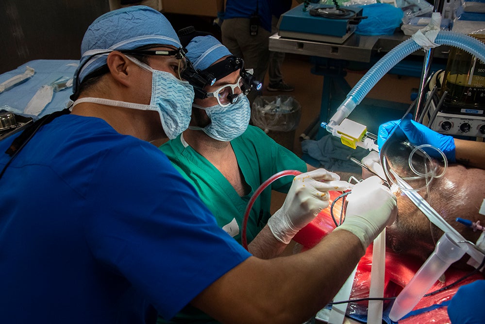 PIX: Critical Surgery Performed On Juvenile Pygmy Hippo At Zoo Miami