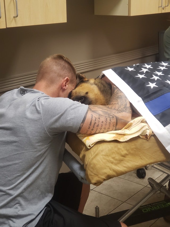 Aurora K9 Passes Away: 'He Was A True Part Of The APD Family' - CBS ...