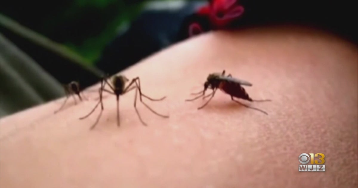 'Last Year Was One Of The Worst' | Maryland Department Of Agriculture ...