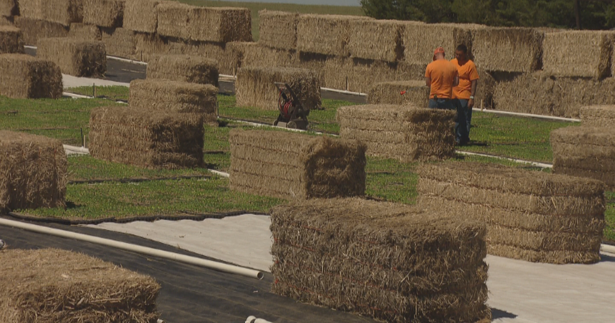 Felons Working On Hemp Farm Raising Some Eyebrows In Colorado Community ...